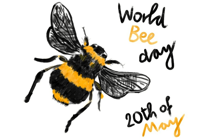 Avista EHub | World Bee Day 20th May 2026